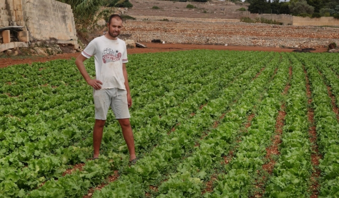 Brussels green-lights 122 million agricultural funds for Malta