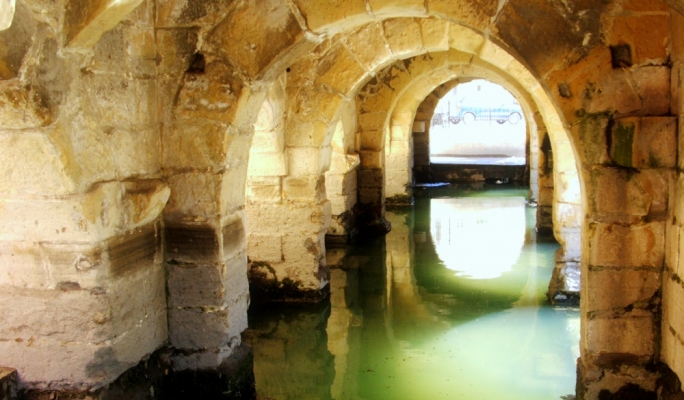 Making a difference in Malta’s environmental sustainability